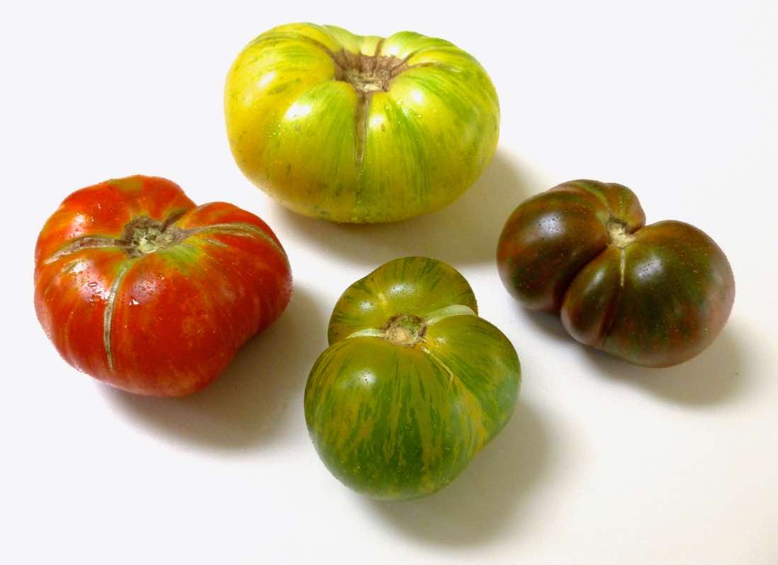 EcoHub Food Actions Page